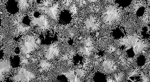 apheros – Apheros - English